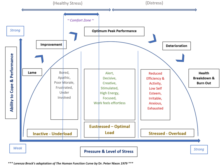 The Human Function Curve: understanding how to de-stress and live better