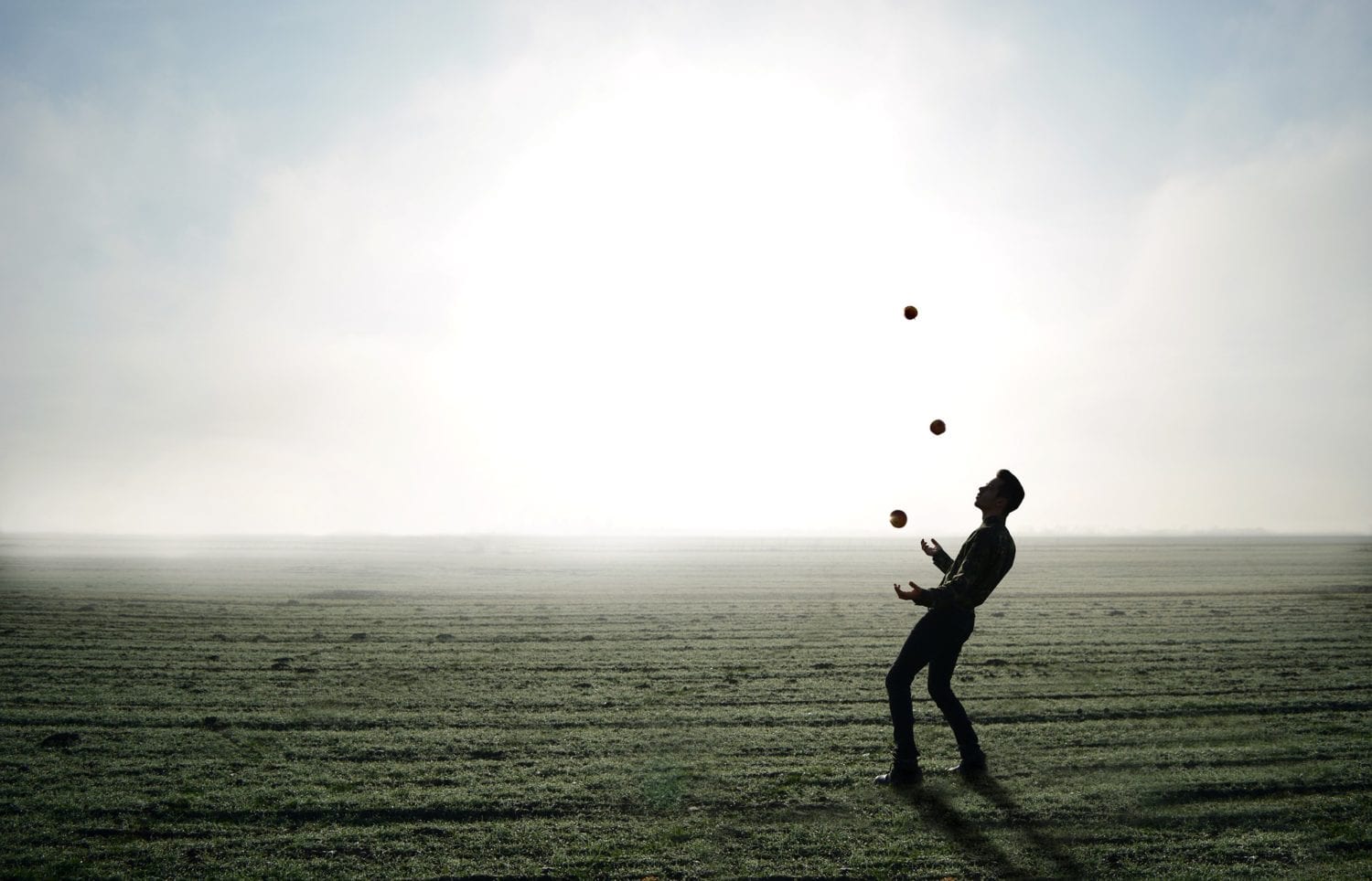 Work: Honeymoon & Burnout - by Wellness & Purpose
