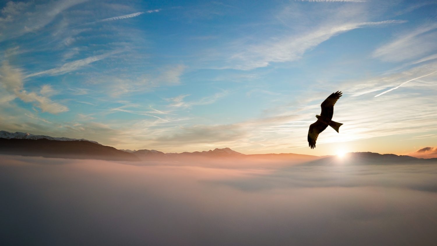 Work: Honeymoon & Burnout - by Wellness & Purpose